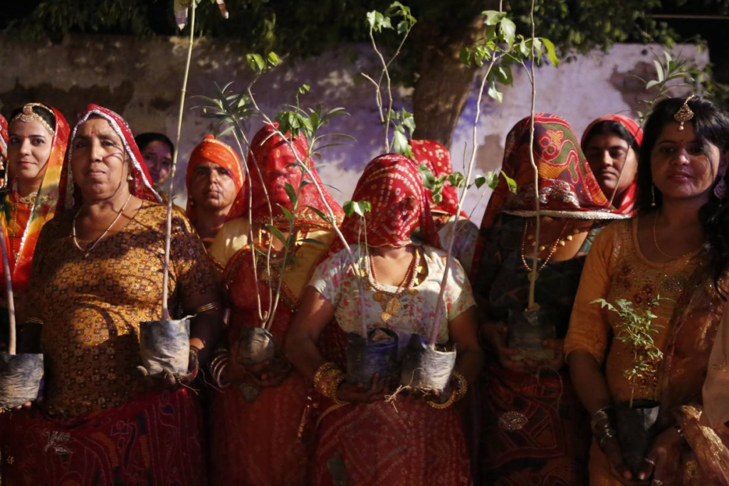 Indian weddings go green with new tree-planting traditions – VVDesigns
